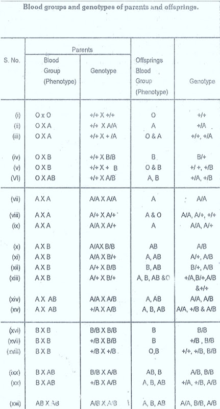 BLOOD GROUP INHERITANCE | BIOZOOM